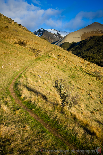 Gallery – Craigieburn Trails